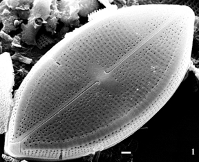 Untitled Document [fmp.conncoll.edu]